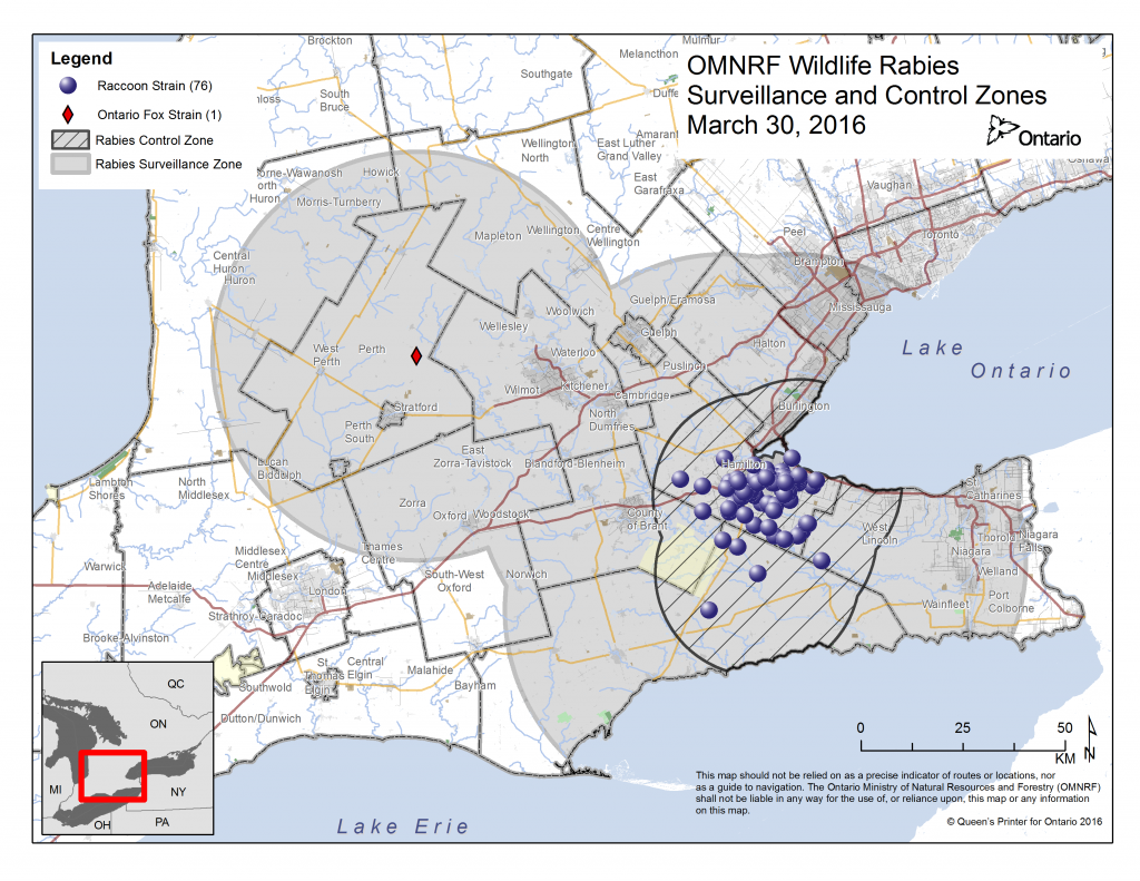 Updated Ontario Rabies Control Zone Map and Spring Rabies Baiting Map ...