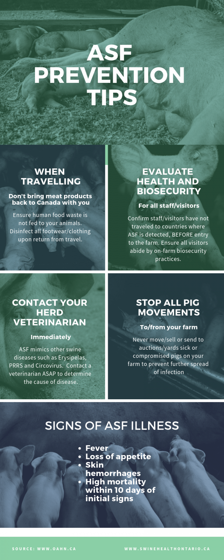 African Swine Fever Prevention Infographics - Ontario Animal Health Network