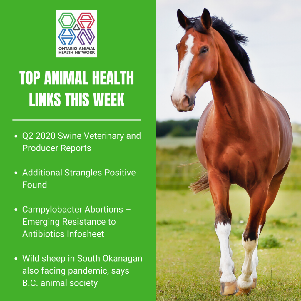 Top Animal Health Links (Aug 17-23) - Ontario Animal Health Network