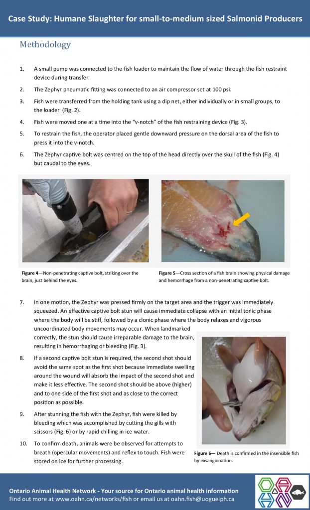 CASE STUDY: Humane Slaughter for Small to Medium Size Aquaculture ...