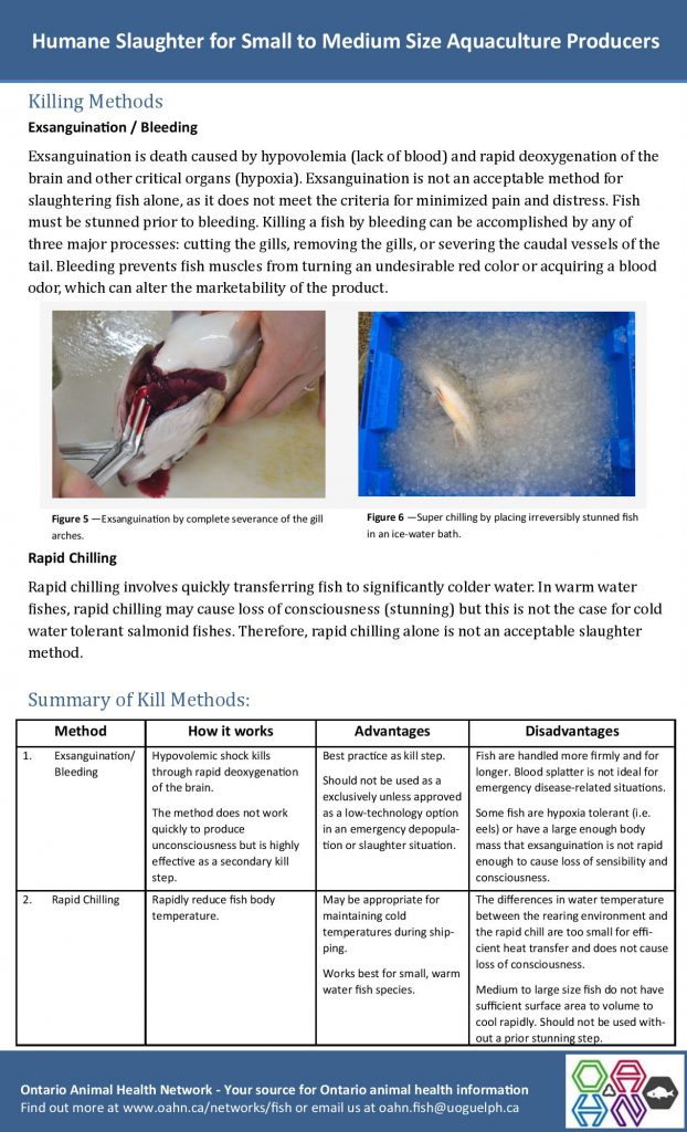 Humane Slaughter for Small to Medium Size Aquaculture Producers ...