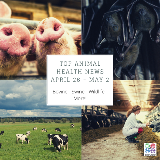 Top Animal Health Links (April 26 - May 2) - Ontario Animal Health Network