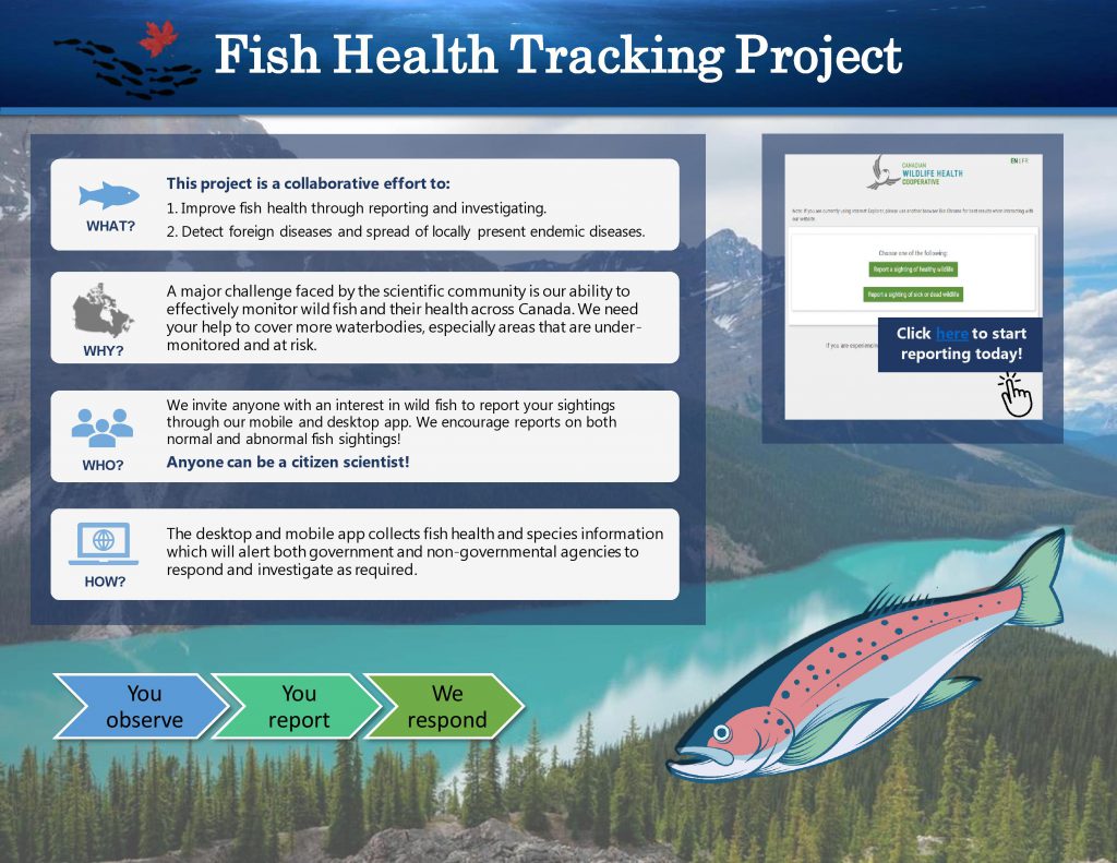 Fish Health Tracking Project - Ontario Animal Health Network