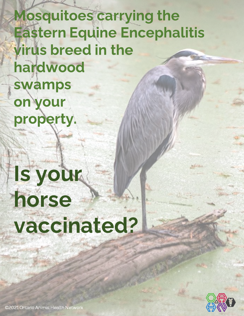 WNV and EEE Reminders - Ontario Animal Health Network