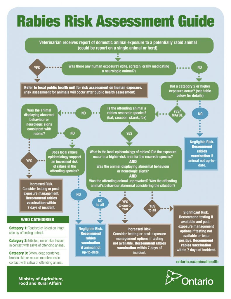 Rabies Risk Assessment Flowchart - Ontario Animal Health Network