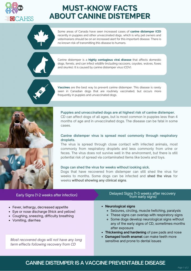 Infographic: Must Know Facts About Canine Distemper - Ontario Animal ...