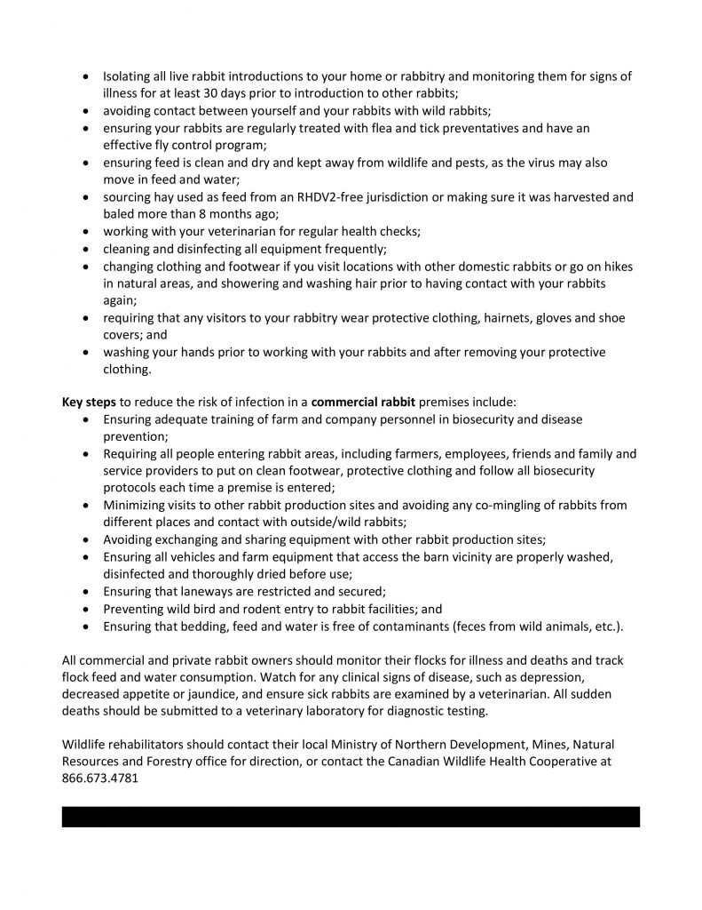 Ontario Industry and Veterinary Advisories for Rabbit Hemorrhagic ...