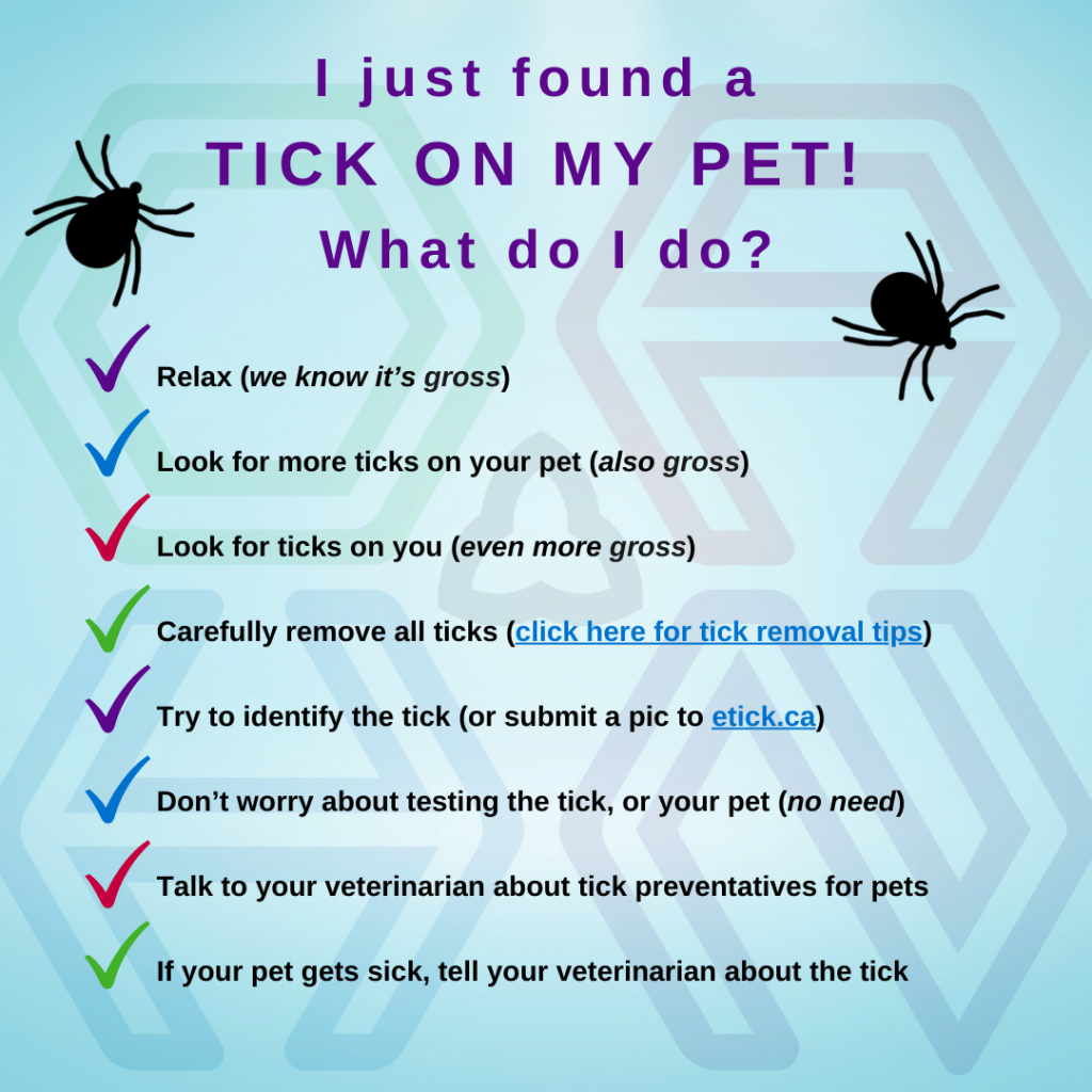 Tick Checklist for Dog Owners - Ontario Animal Health Network