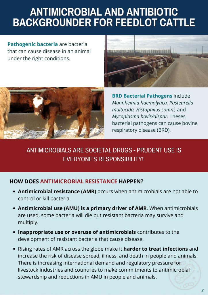 Antimicrobial and Antibiotic Backgrounder for Feedlot Cattle - Ontario ...