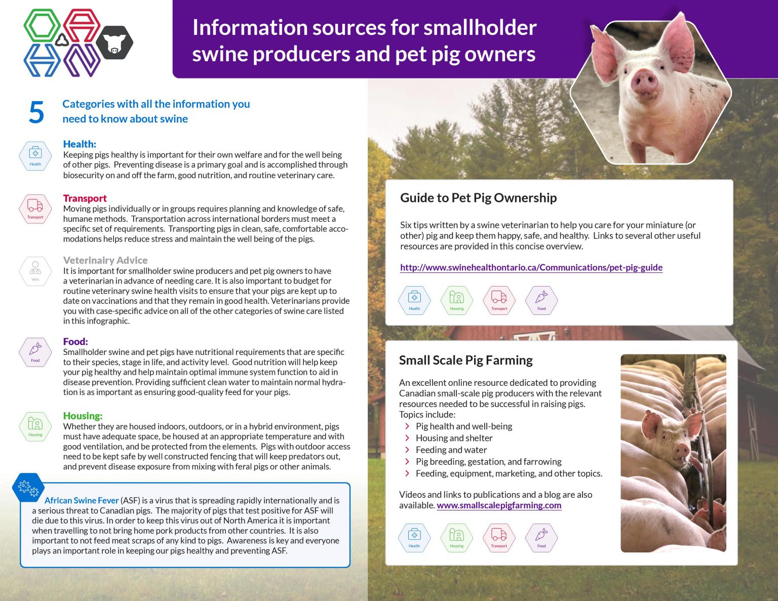 Infographic: Information sources for smallholder swine producers and ...