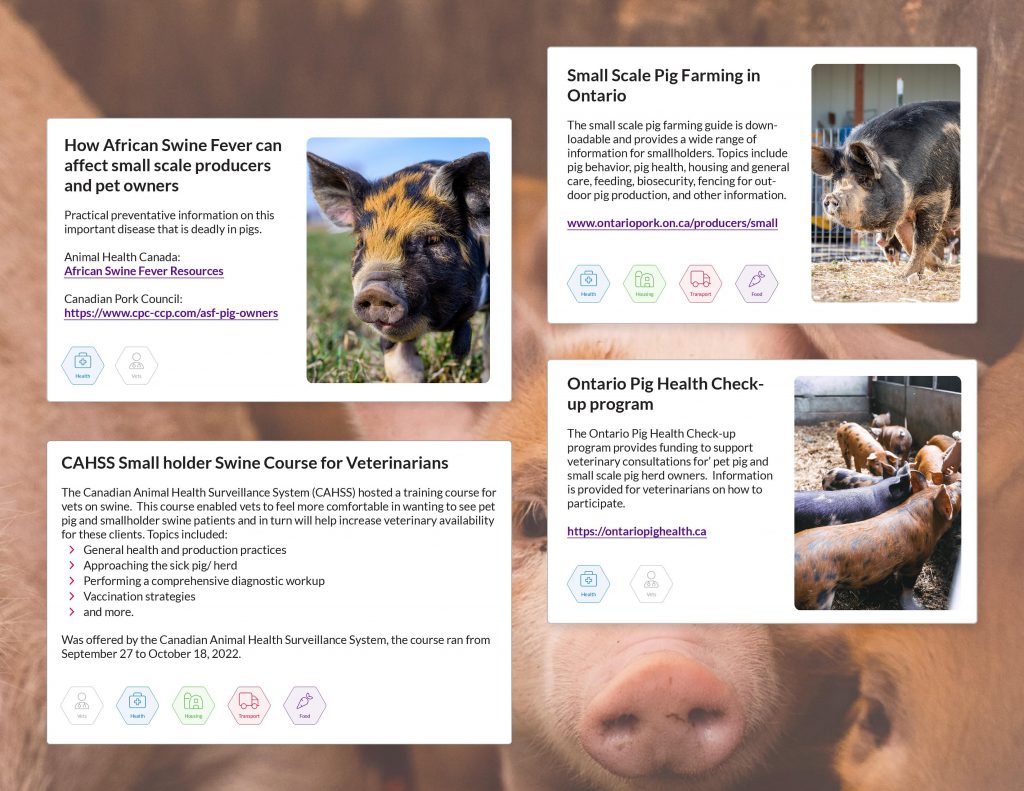 Infographic: Information sources for smallholder swine producers and ...