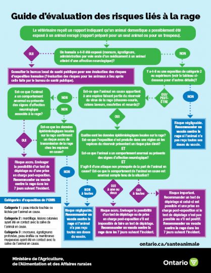 Guide d’évaluation des risques liés à la rage (Rabies Risk Assessment ...