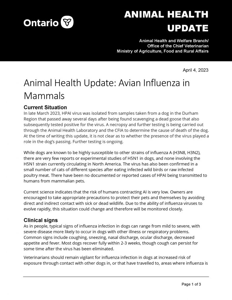 Animal Health Update: Avian Influenza in Mammals (OMAFRA) - Ontario ...