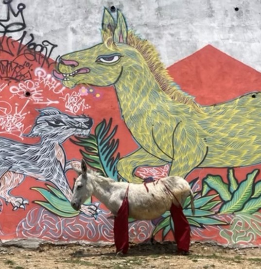 Equine Veterinary Report – Q2 2023 - Ontario Animal Health Network