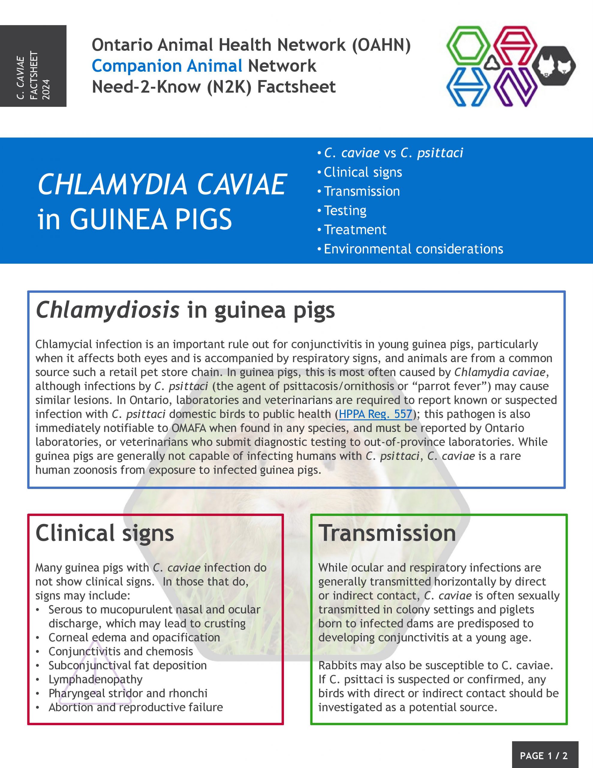 Factsheet: Chlamydia Caviae in Guinea Pigs - Ontario Animal Health Network