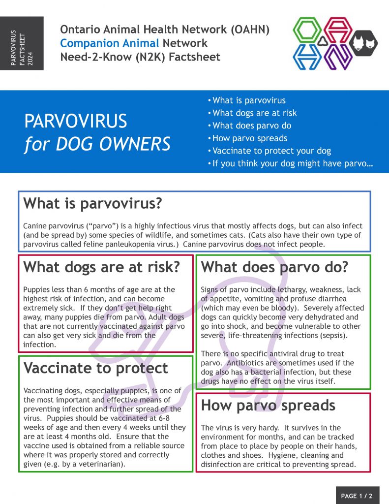 Need-2-Know: Parvovirus for dog owners - Ontario Animal Health Network
