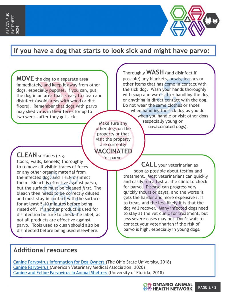 Need-2-Know: Parvovirus for dog owners - Ontario Animal Health Network