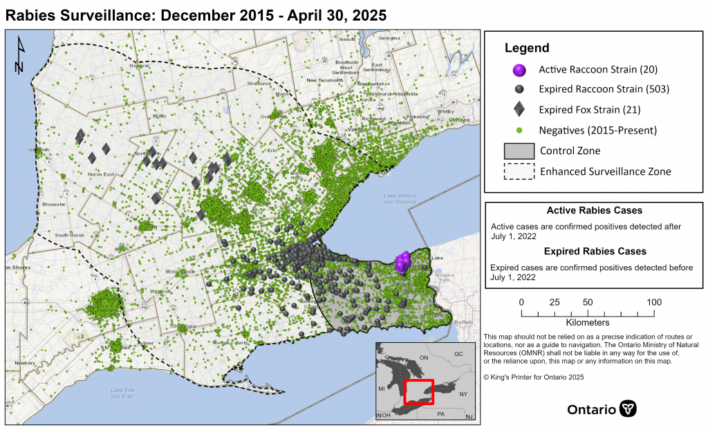 Ontario Rabies Update May 7, 2025 - 3 New Fox Variant Cases, 0 Raccoon ...
